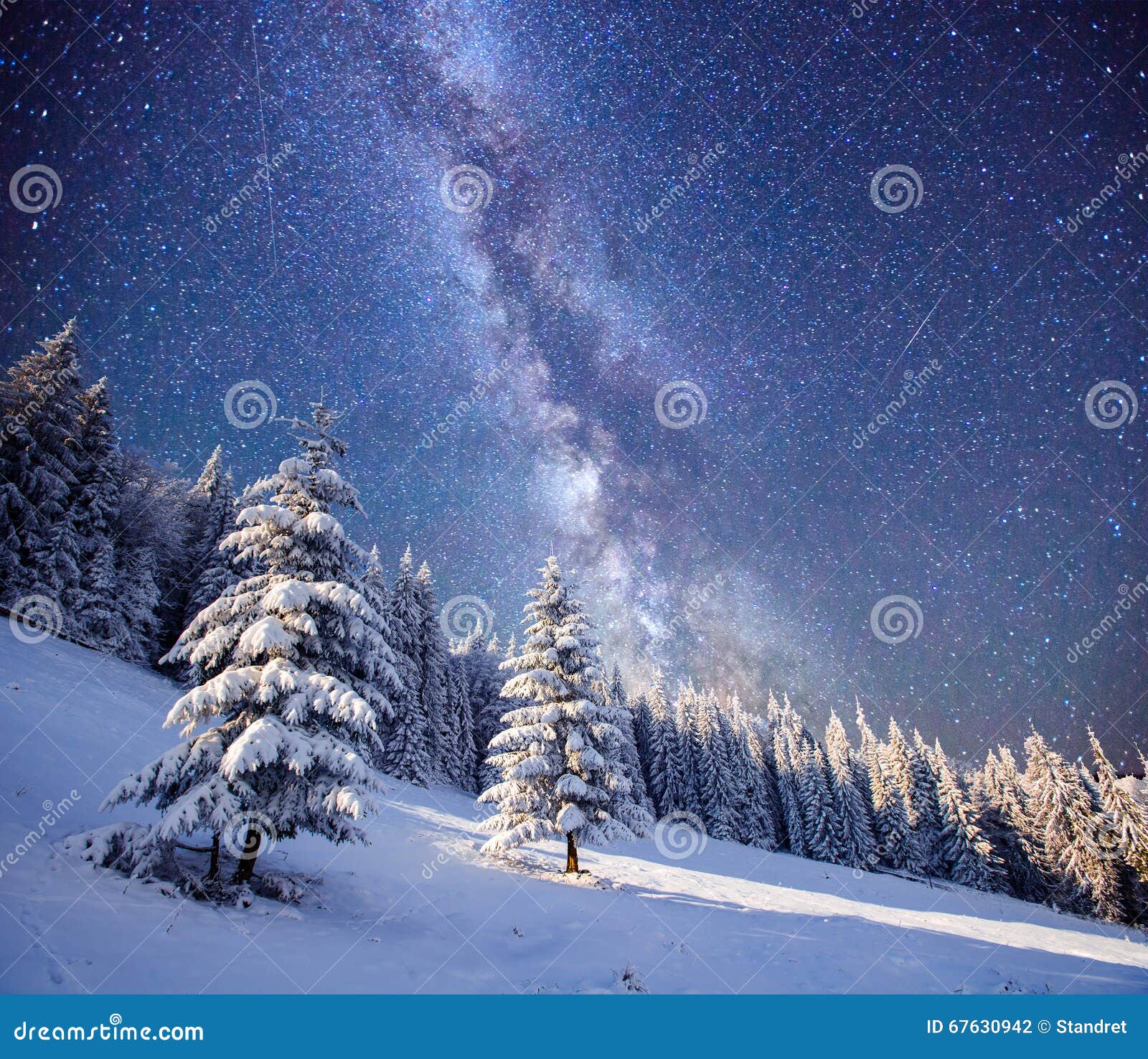 Magic Tree in Starry Winter Night Stock Photo - Image of christmas ...