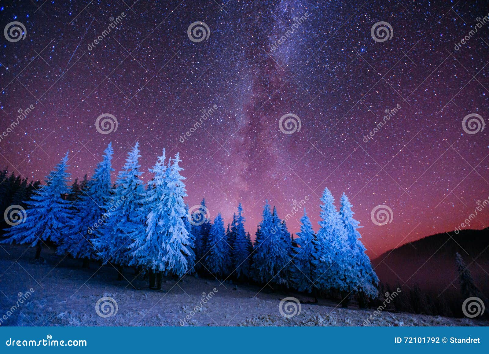 Magic Tree in Starry Winter Night Stock Photo - Image of outer, outdoor ...