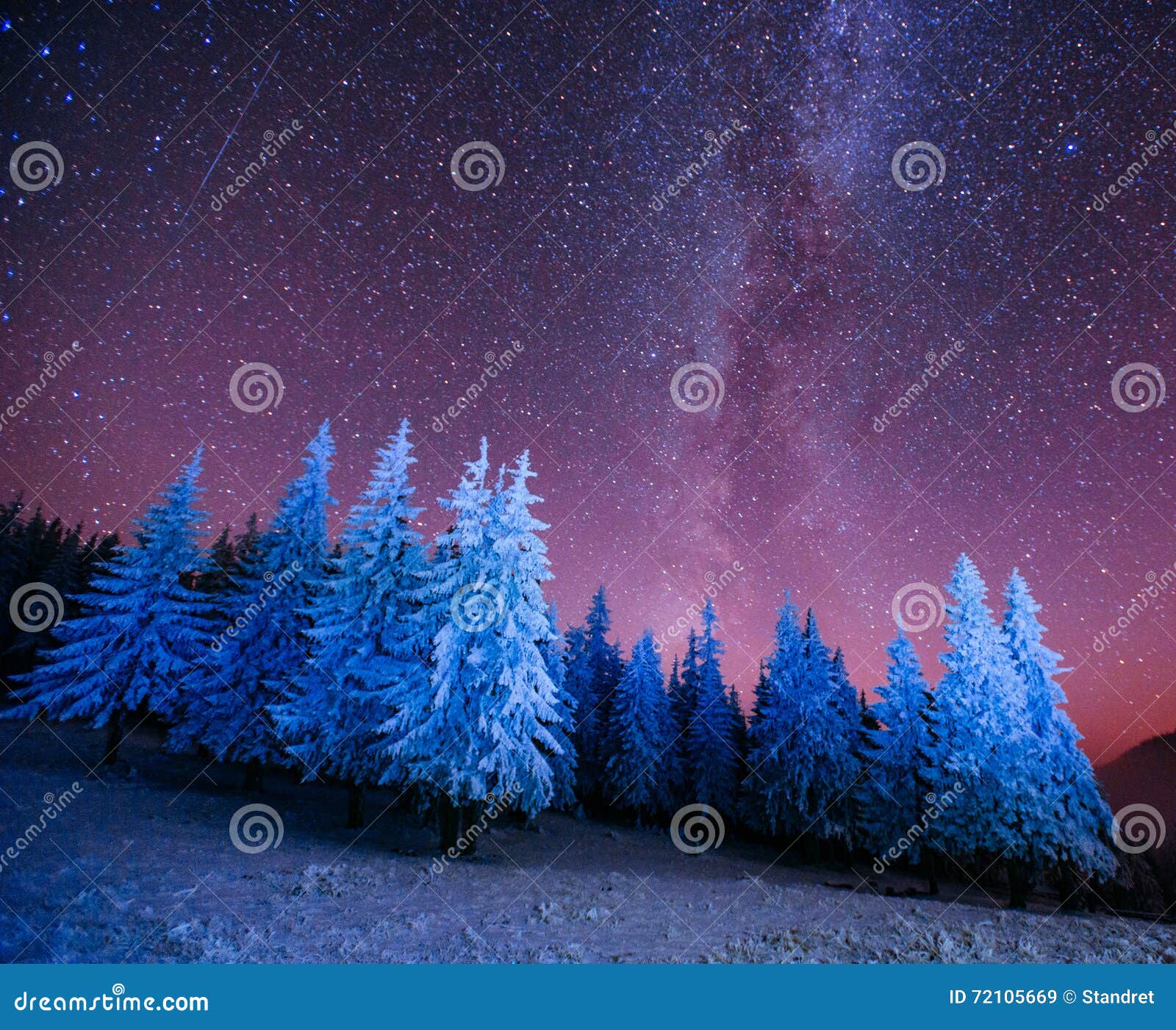 Magic Tree in Starry Winter Night Stock Image - Image of frost, outdoor ...