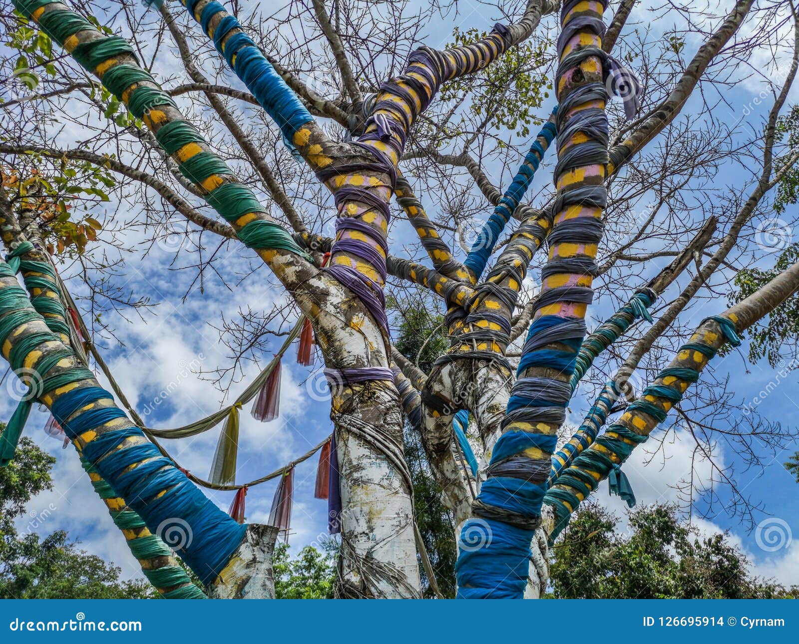 Magic Tree Whose Branches are Surrounded by Colorful Fabrics in Nan ...