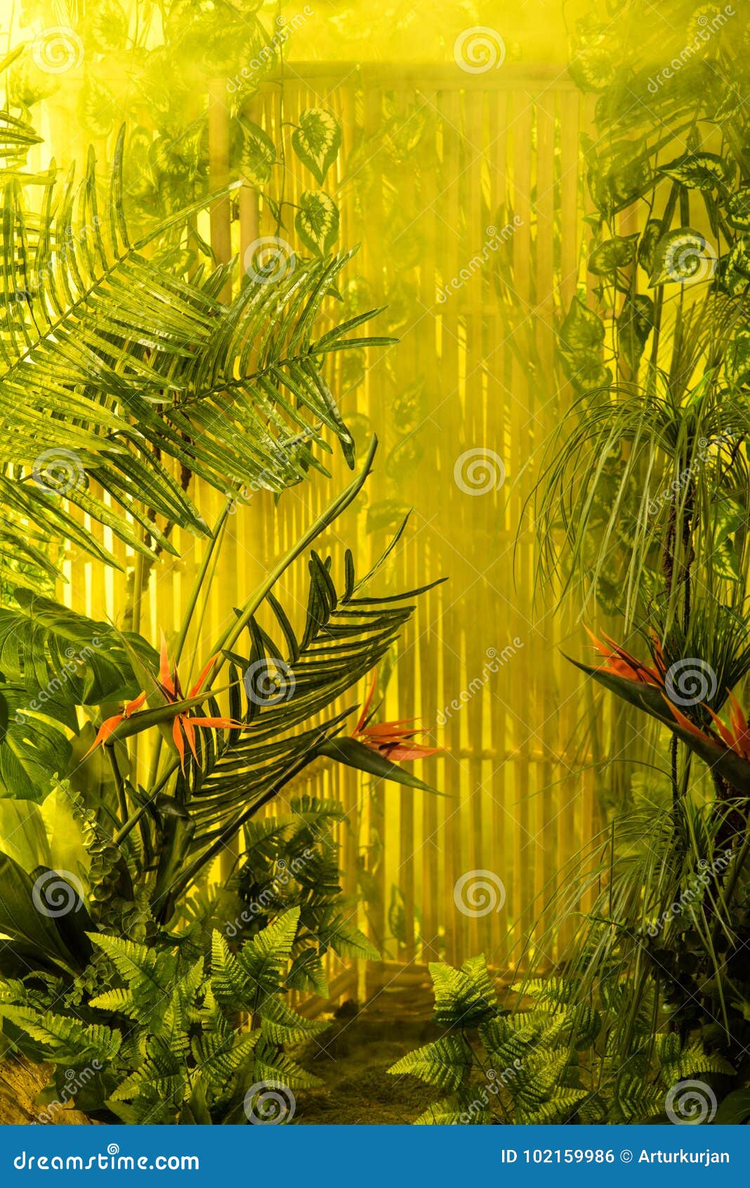 Magic Tropical Jungle Backgroud Stock Photo - Image of green, natural ...