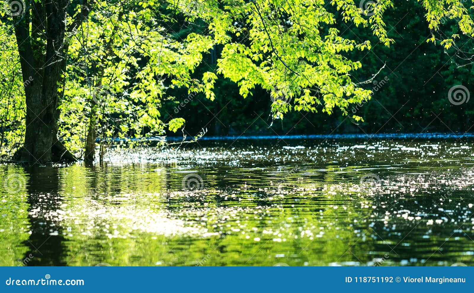 Magic Water Surface of a River at Sunset, on a Summer Day. Brill Stock ...