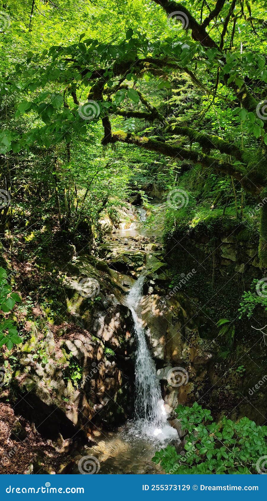 Magic waterfall in hikes stock image. Image of magic - 255373129