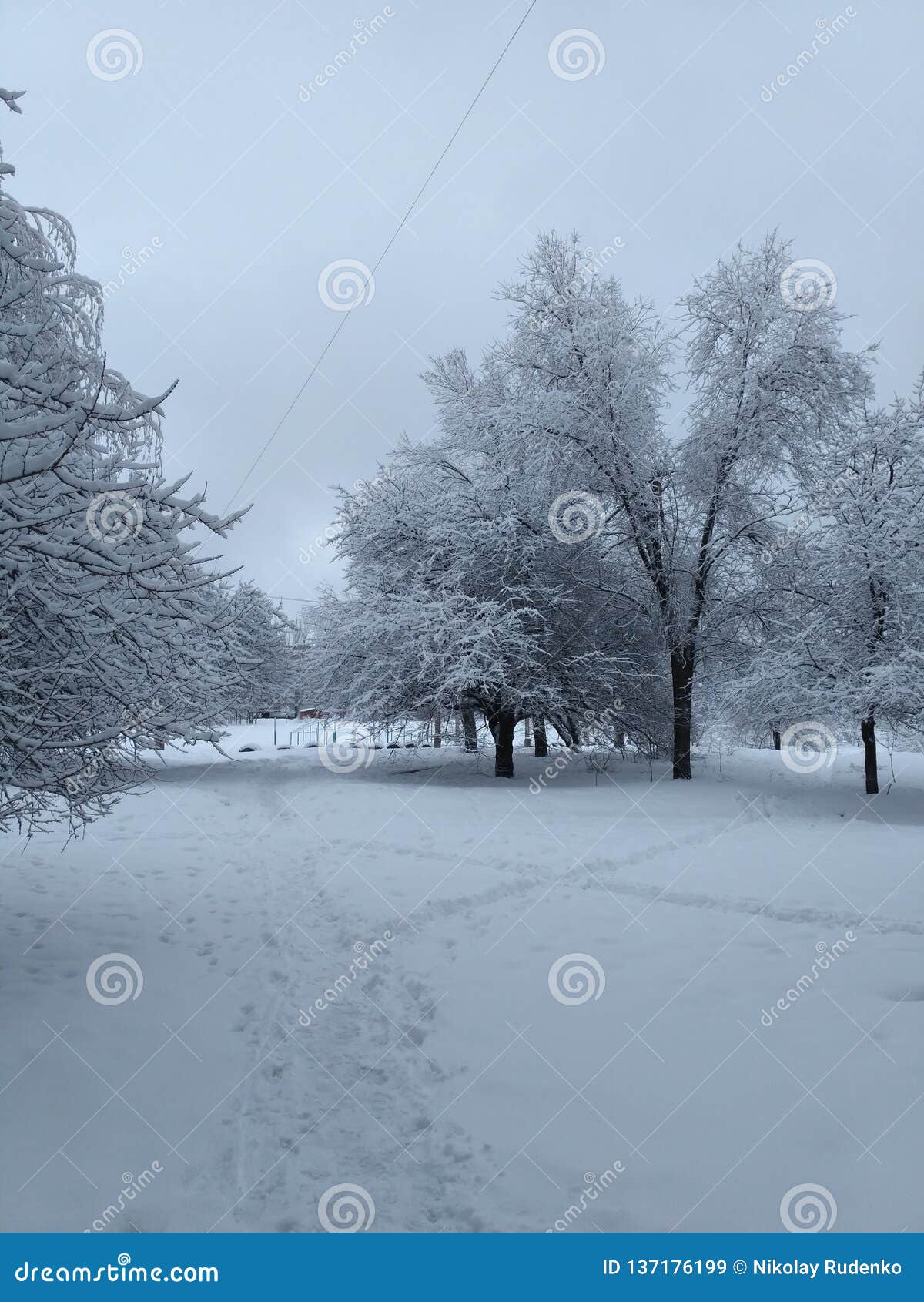 Magic of winter stock image. Image of amusingly, distance - 137176199
