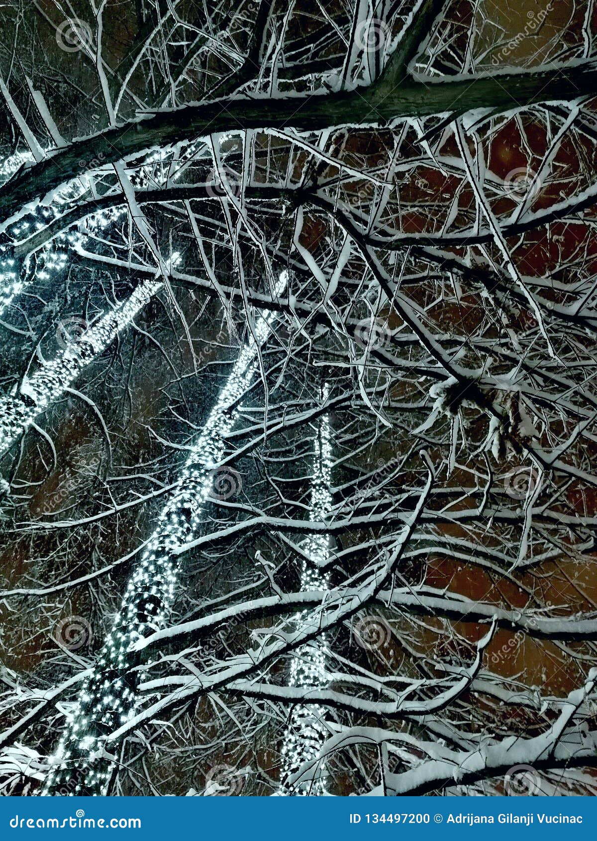 Magic winter stock photo. Image of snow, winter, magic - 134497200