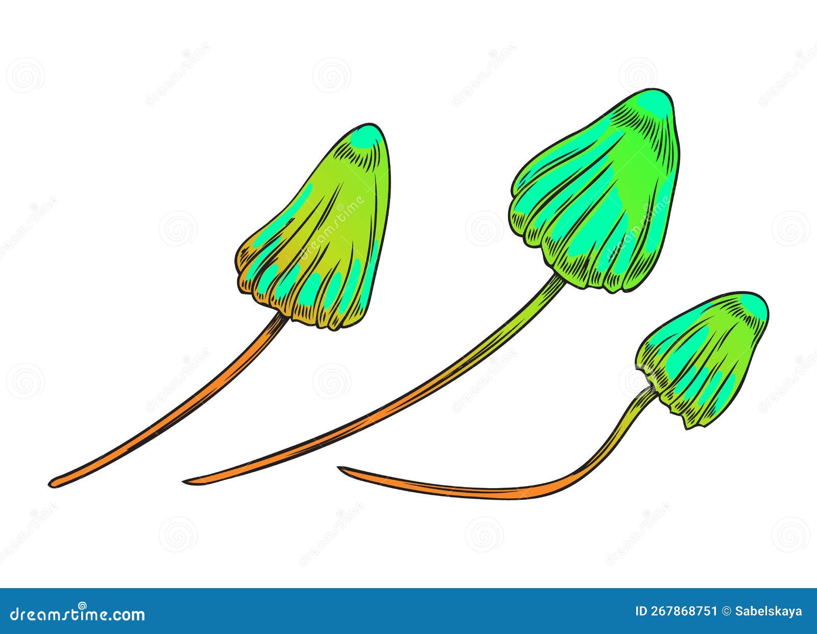 Magic Witchcraft Mushrooms or Toadstools Cartoon Vector Illustration ...