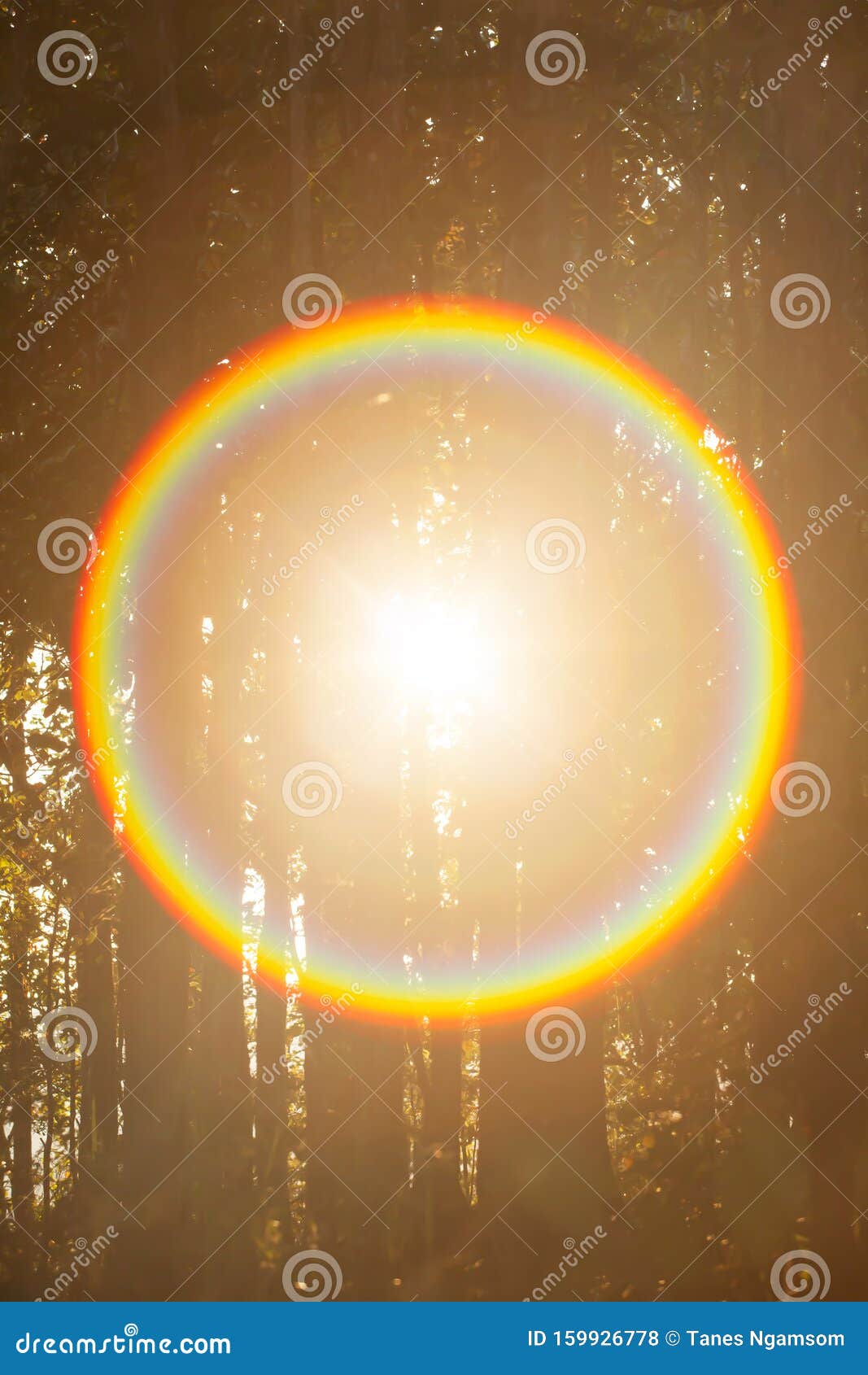 Magical Circle Rainbow Ray from the Sun Stock Photo - Image of colors ...