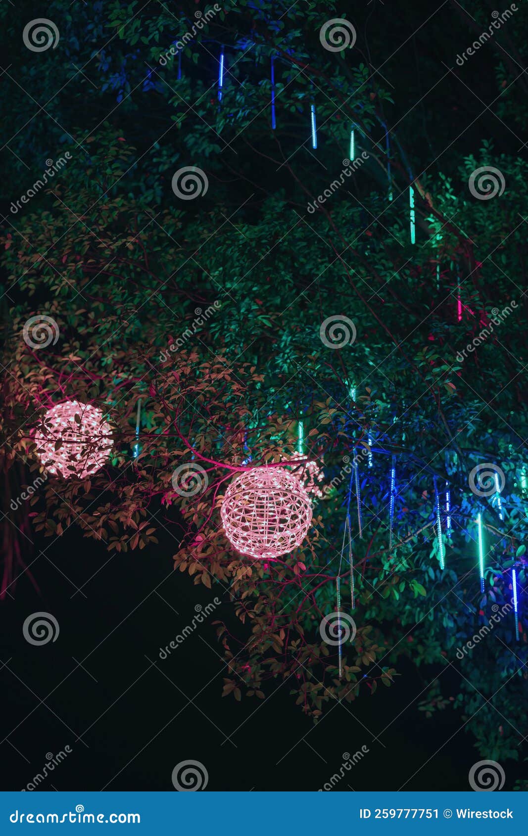 Magical Colorful Light Illuminated on the Tree at Night. Stock Image ...