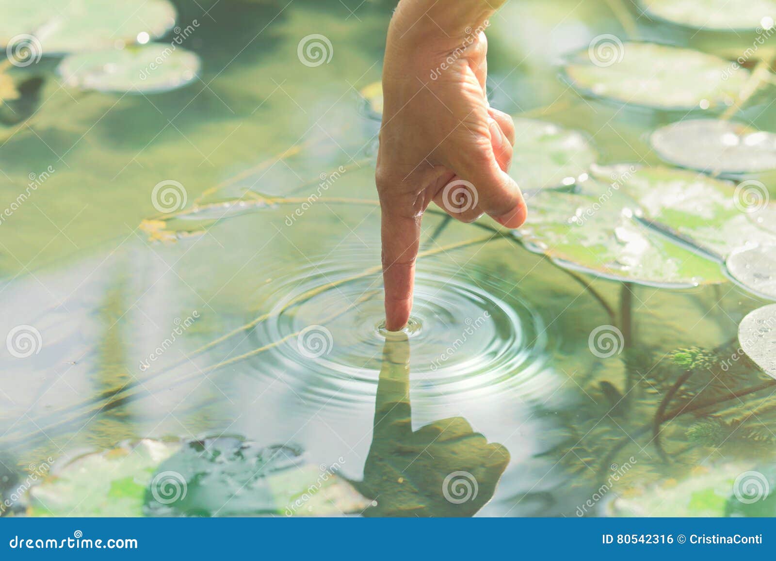 Magical Contact between Man and Nature Stock Photo - Image of dumping ...