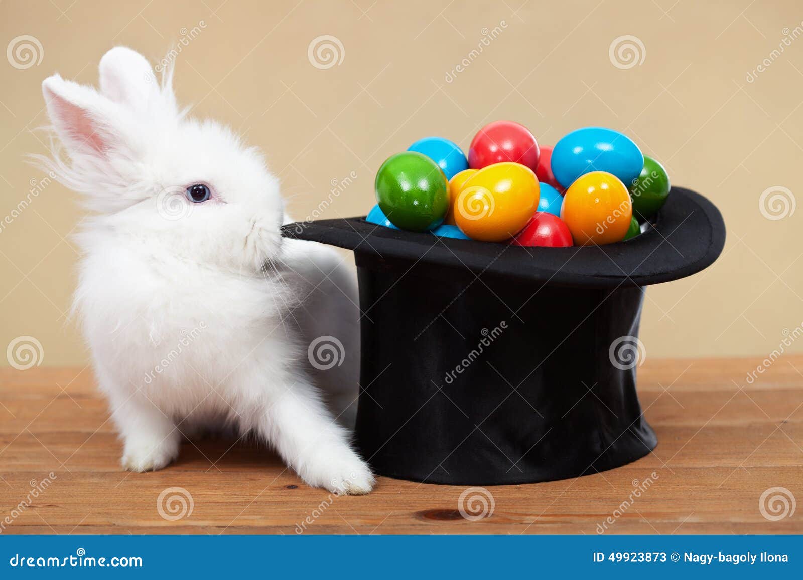 Magical Easter with Rabbit and Colorful Eggs Stock Image - Image of ...
