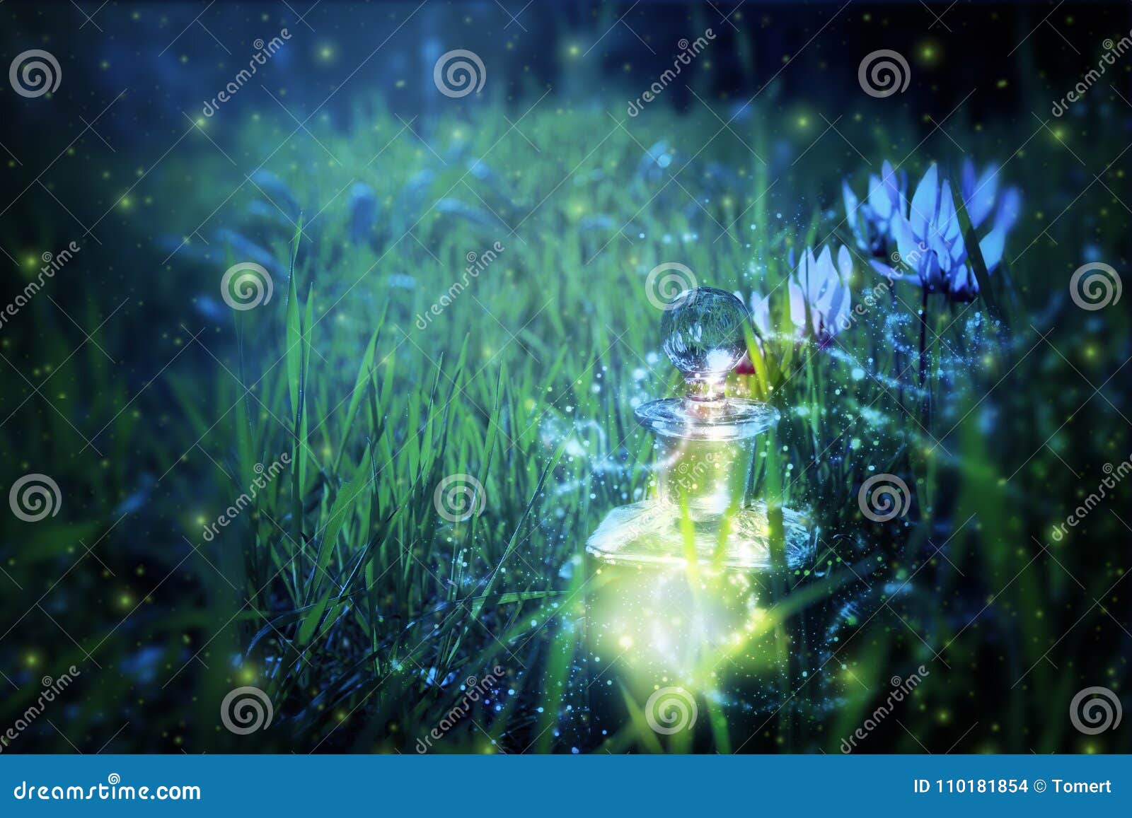 Magical Fairy Dust Potion in Bottle in the Forest. Stock Photo - Image ...