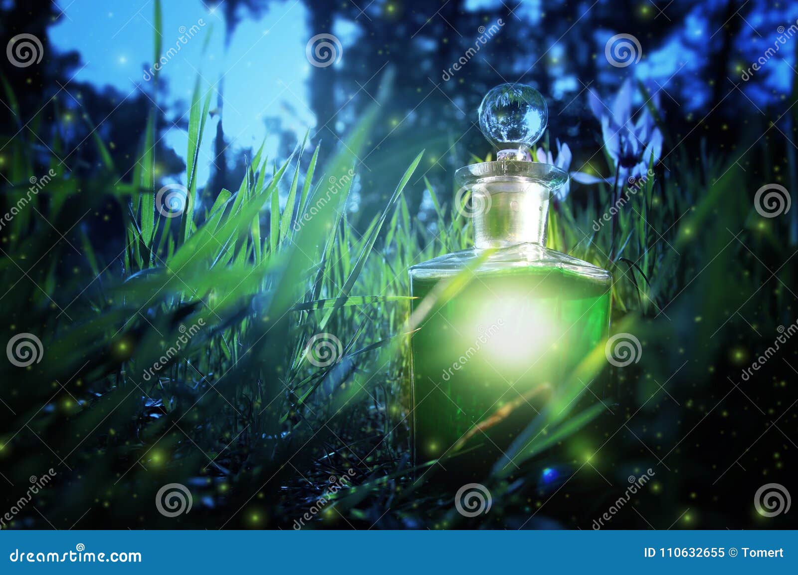 Magical Fairy Dust Potion in Bottle in the Forest. Stock Image - Image ...