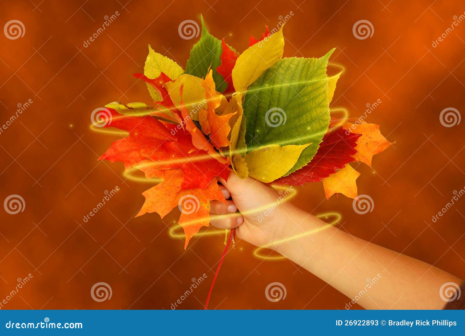 Magical fall bouquet stock image. Image of glow, magical - 26922893