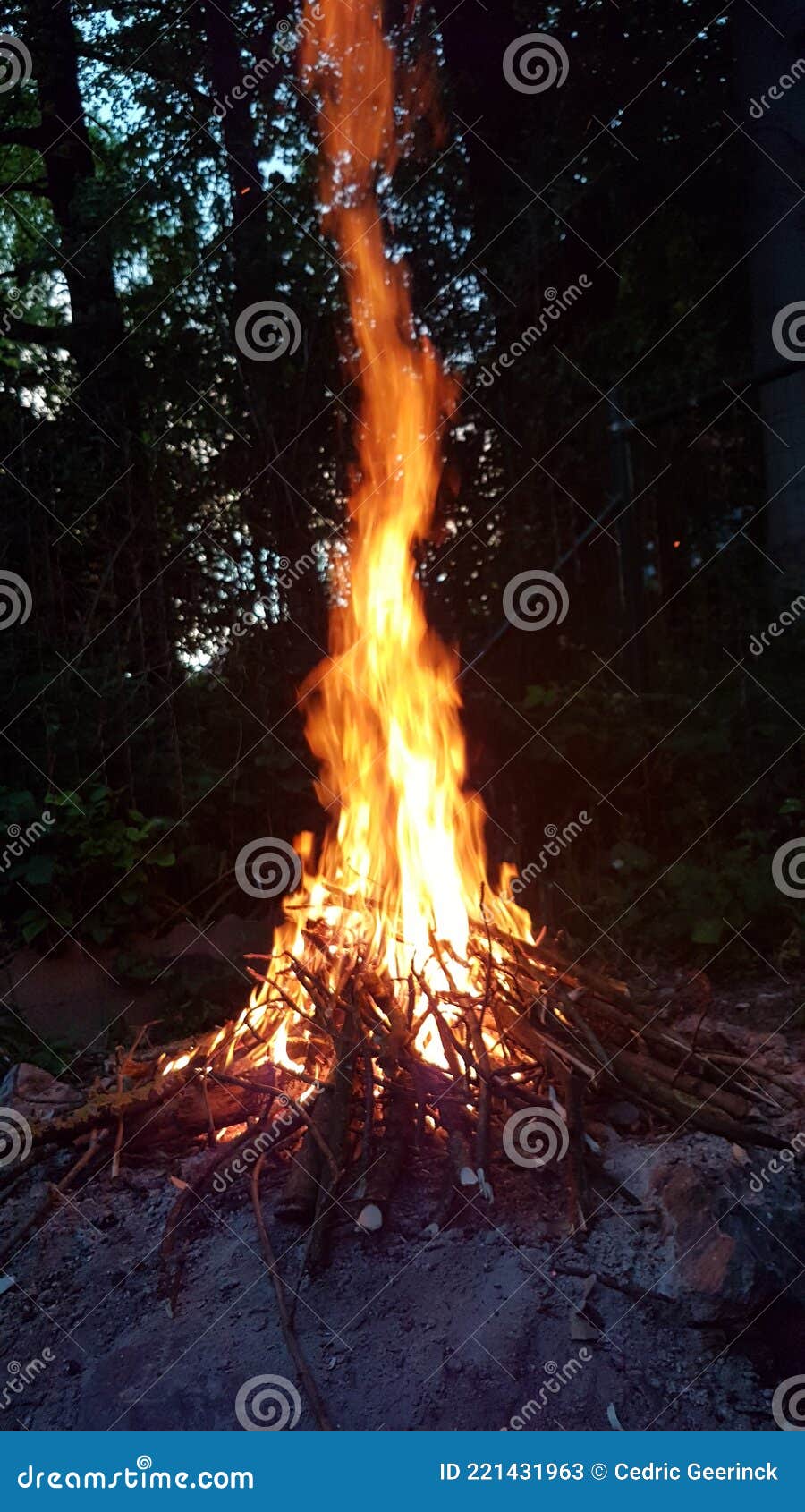 The Magical Fire 3 stock image. Image of sunlight, autumn - 221431963