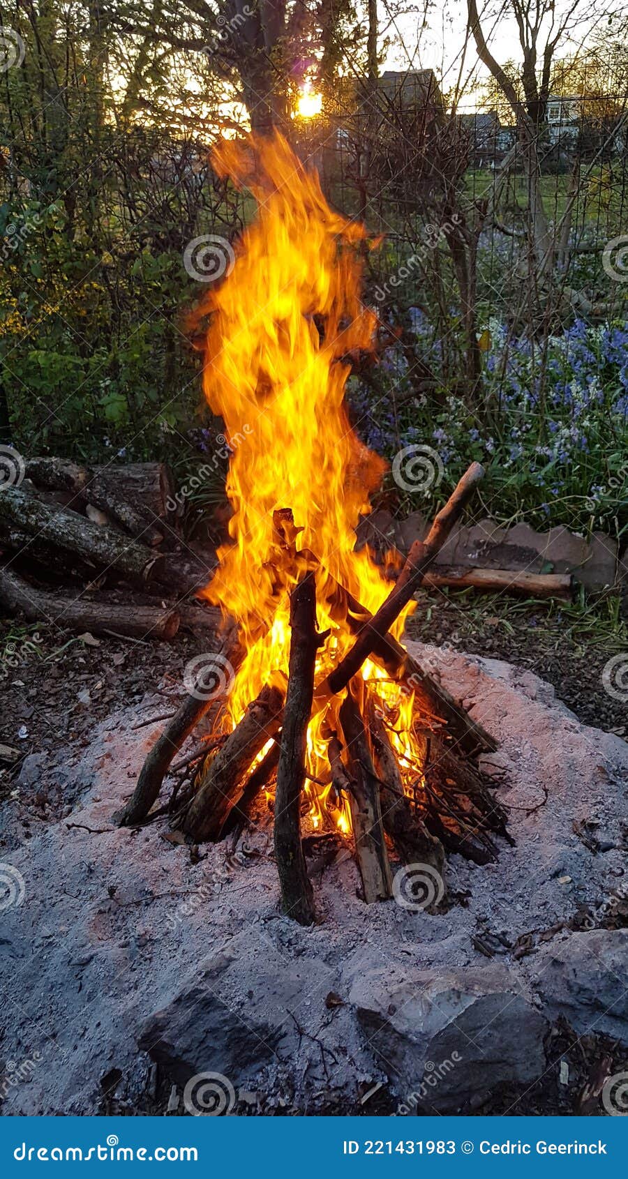 The Magical Fire 4 stock image. Image of flame, sunlight - 221431983