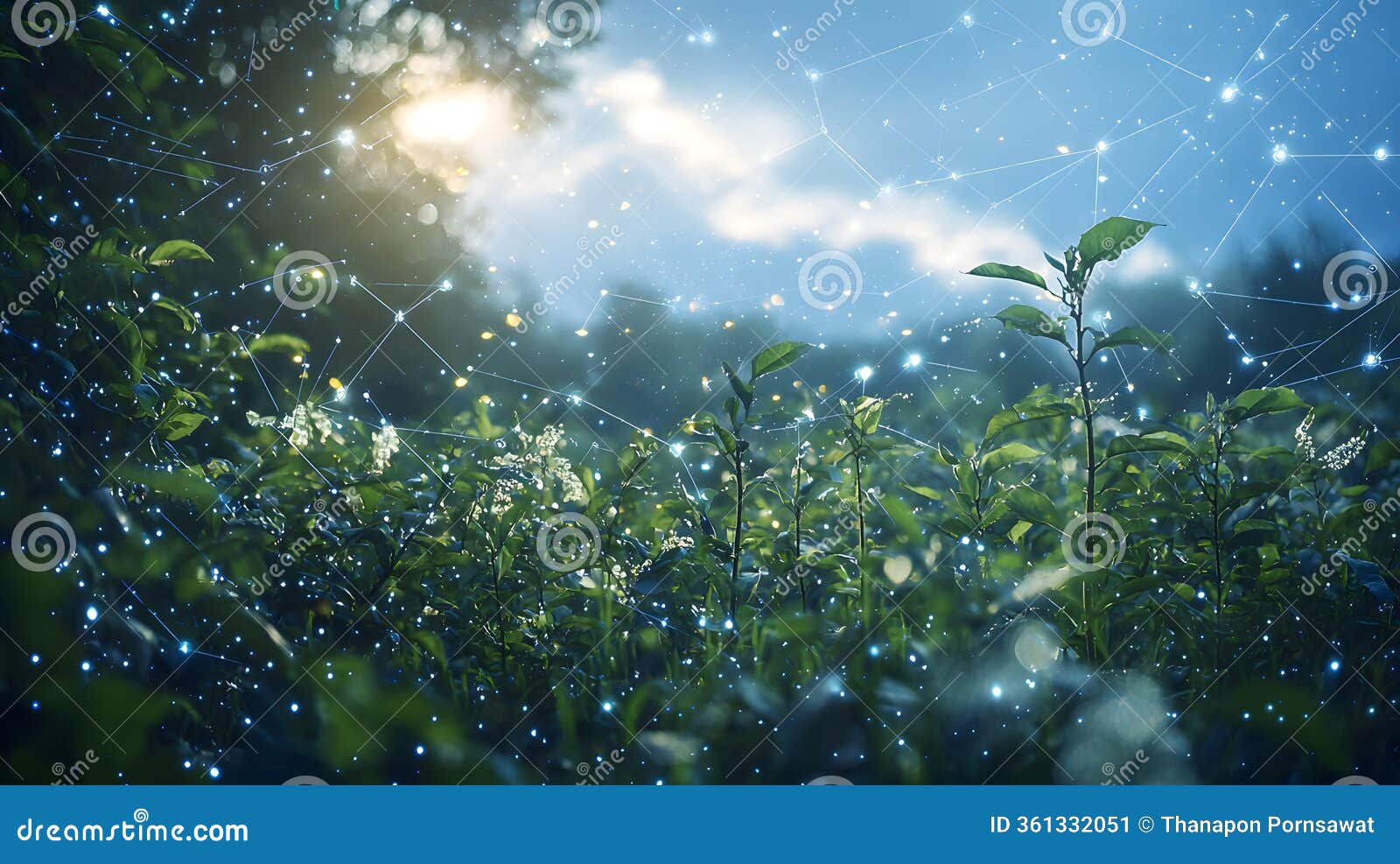 Magical Firefly Lit Green Plants at Dusk Nature Network Connected ...