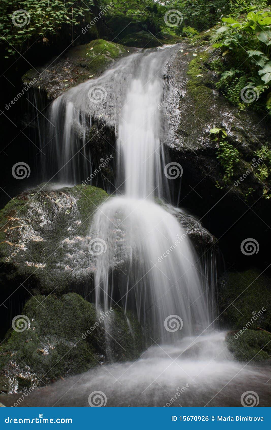 Magical flowing water stock photo. Image of fall, creek - 15670926