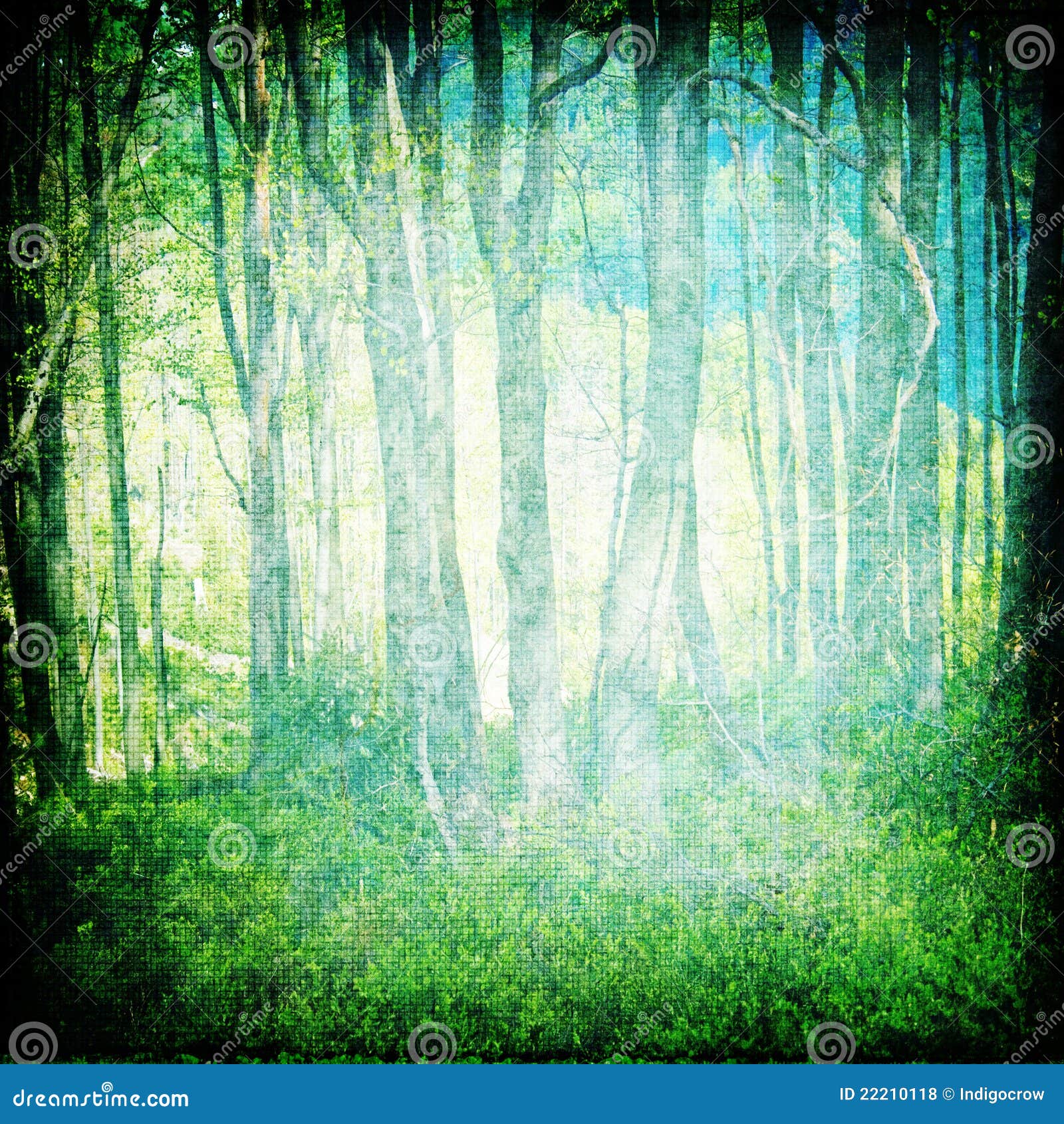 The Magical Forest stock photo. Image of nature, shrubs - 22210118