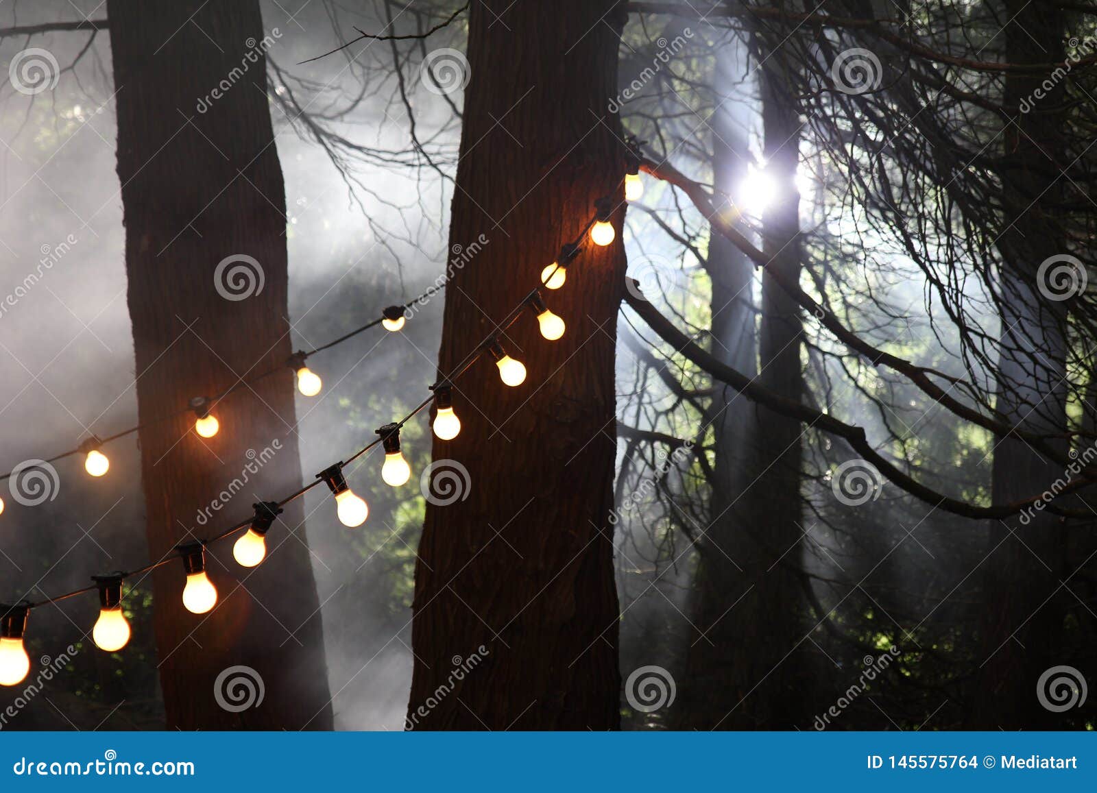 Magical Forest and Funfair Lights Stock Photo - Image of misty, lights ...