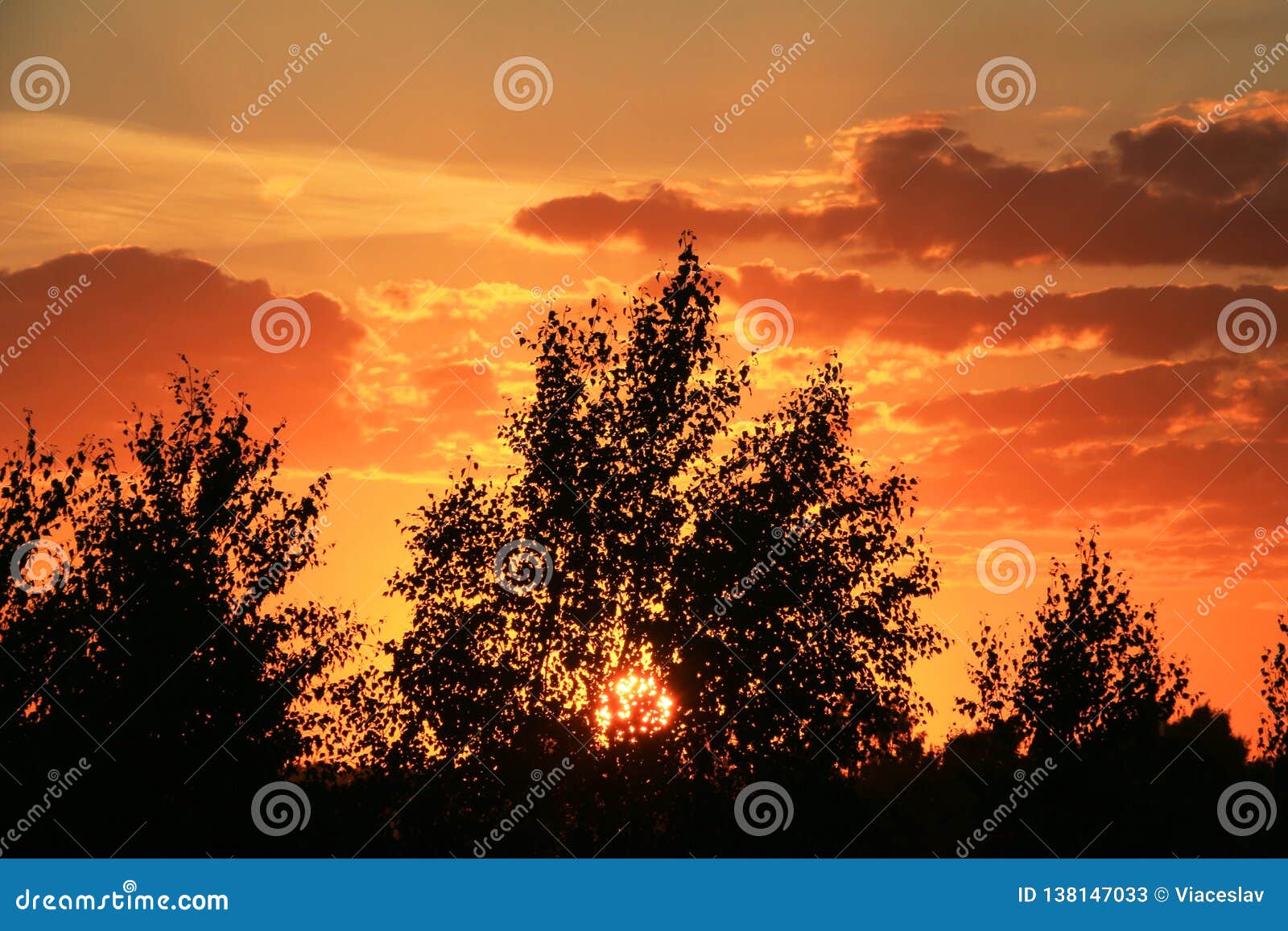 Magical High-contrast Shot of the Sunset. Stock Image - Image of nature ...