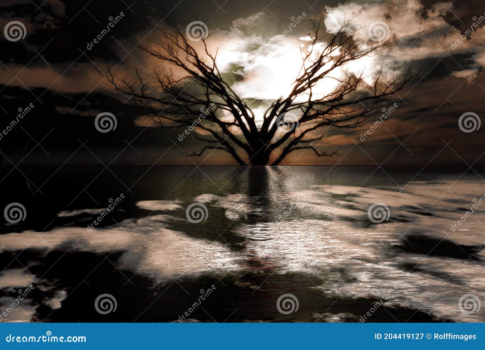 A Magical Landscape Set Beyond Seven Kingdoms, Featuring Mystical ...