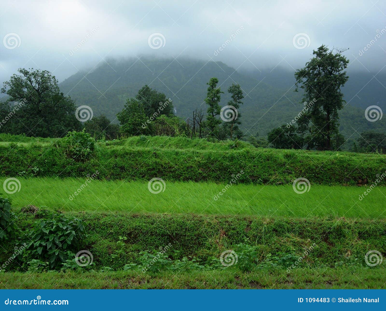 Magical Monsoon Landscape stock image. Image of cool, indian - 1094483