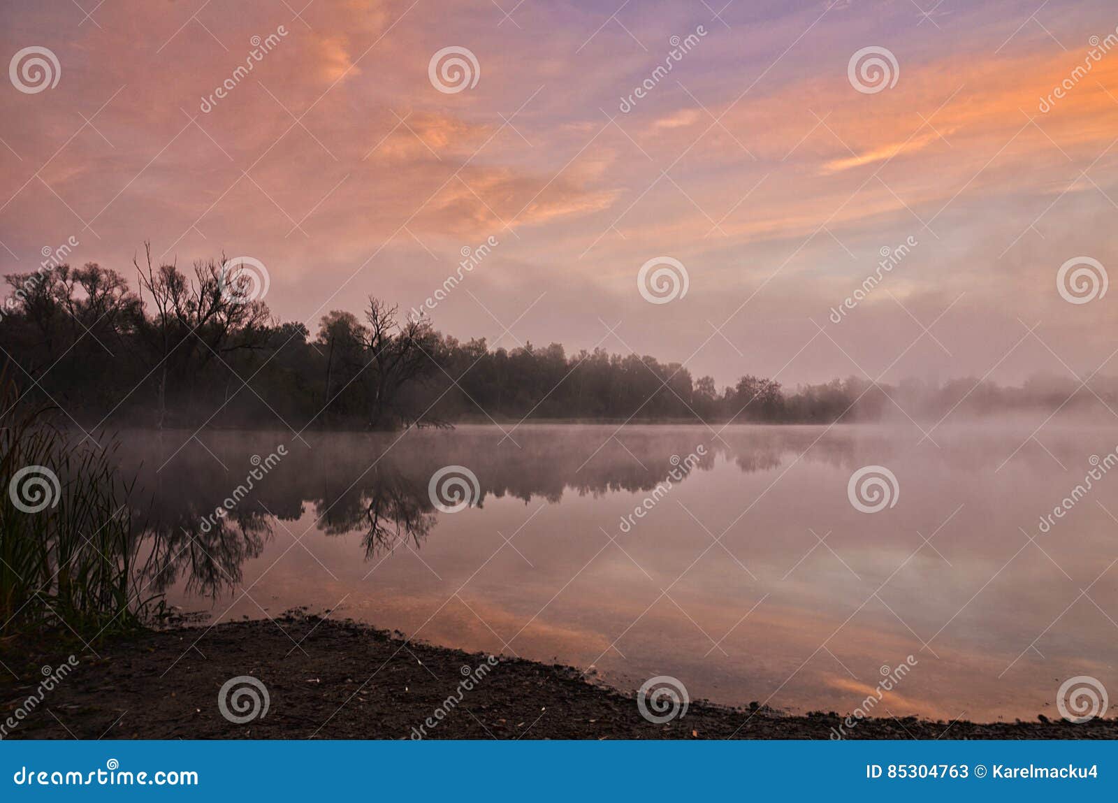 A magical morning haze stock image. Image of sunrise - 85304763