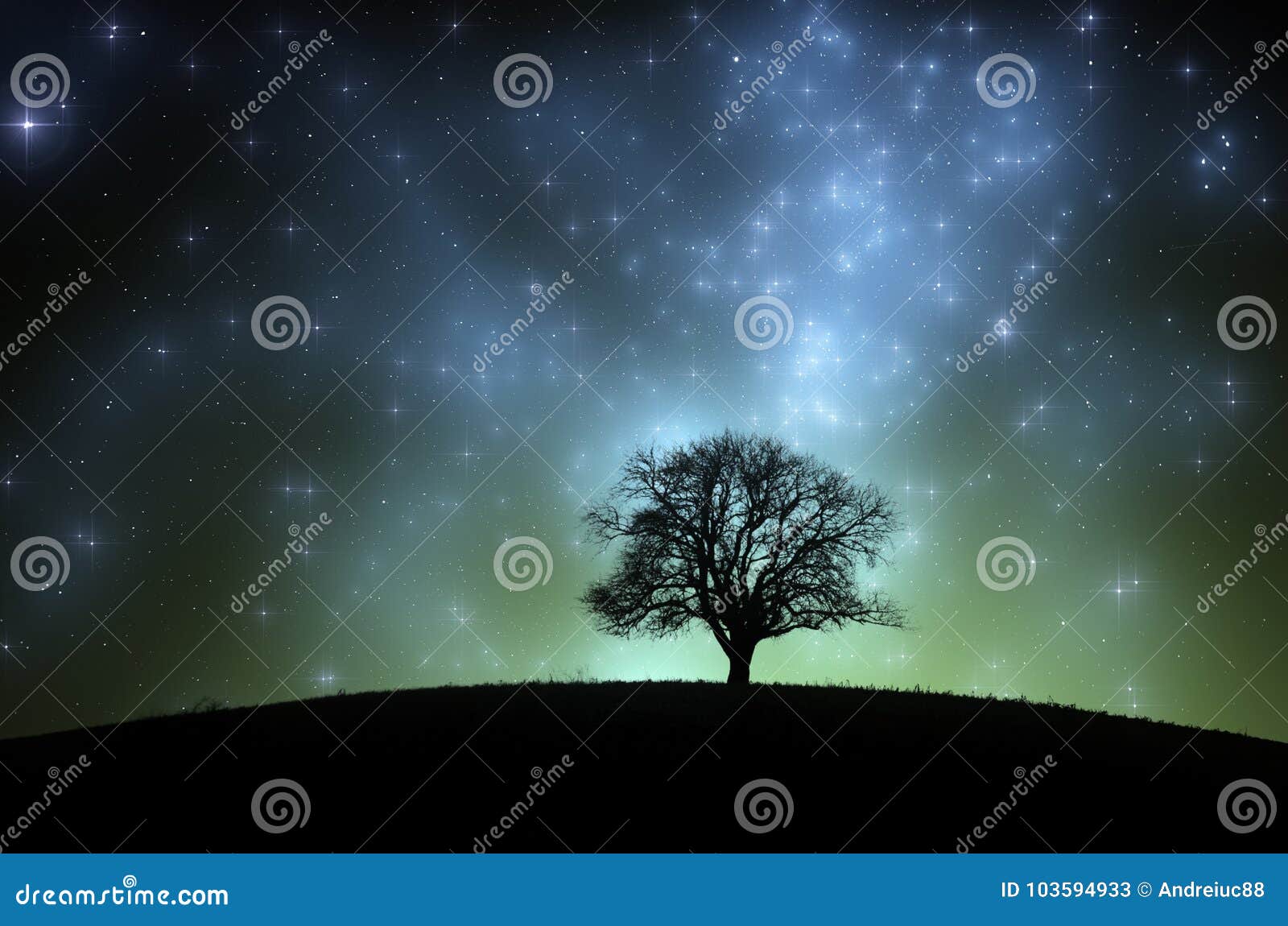 Magical Night Sky Over Meadow with Tree Stock Image - Image of star ...