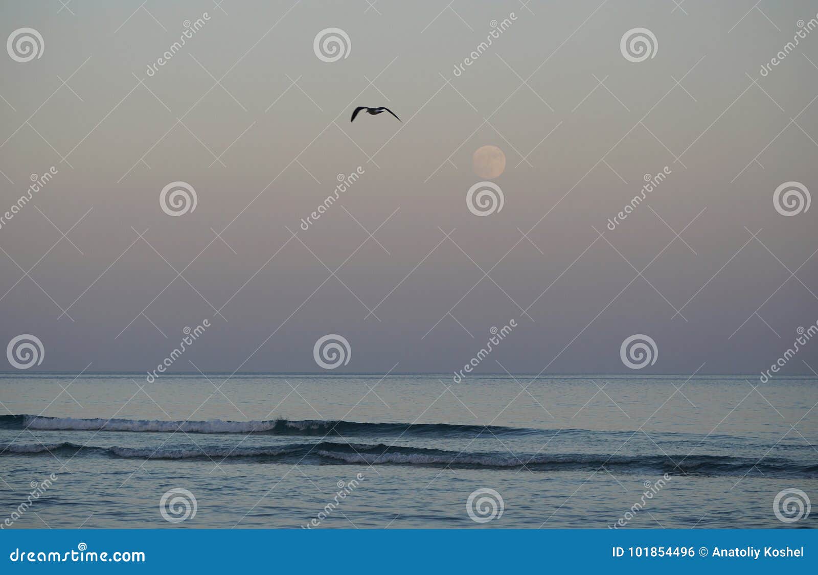 Magical Ocean. Moonrise Over the Ocean. Full Moon Evening Stock Photo ...