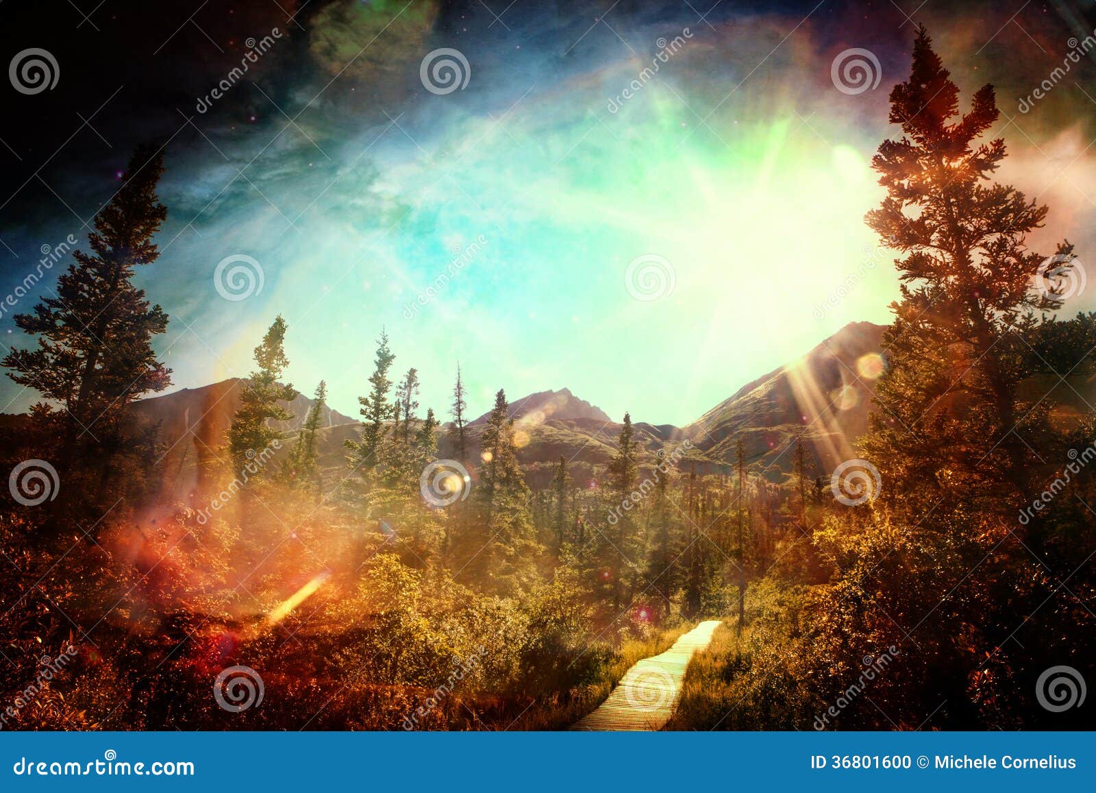 Magical Path In Enchanted Forest Stock Photography | CartoonDealer.com ...