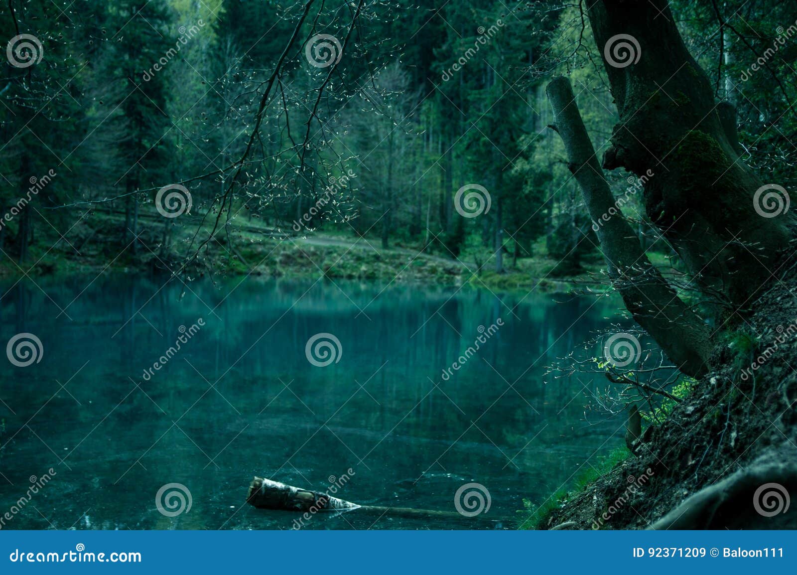 Magical pond stock image. Image of dark, spell, water - 92371209