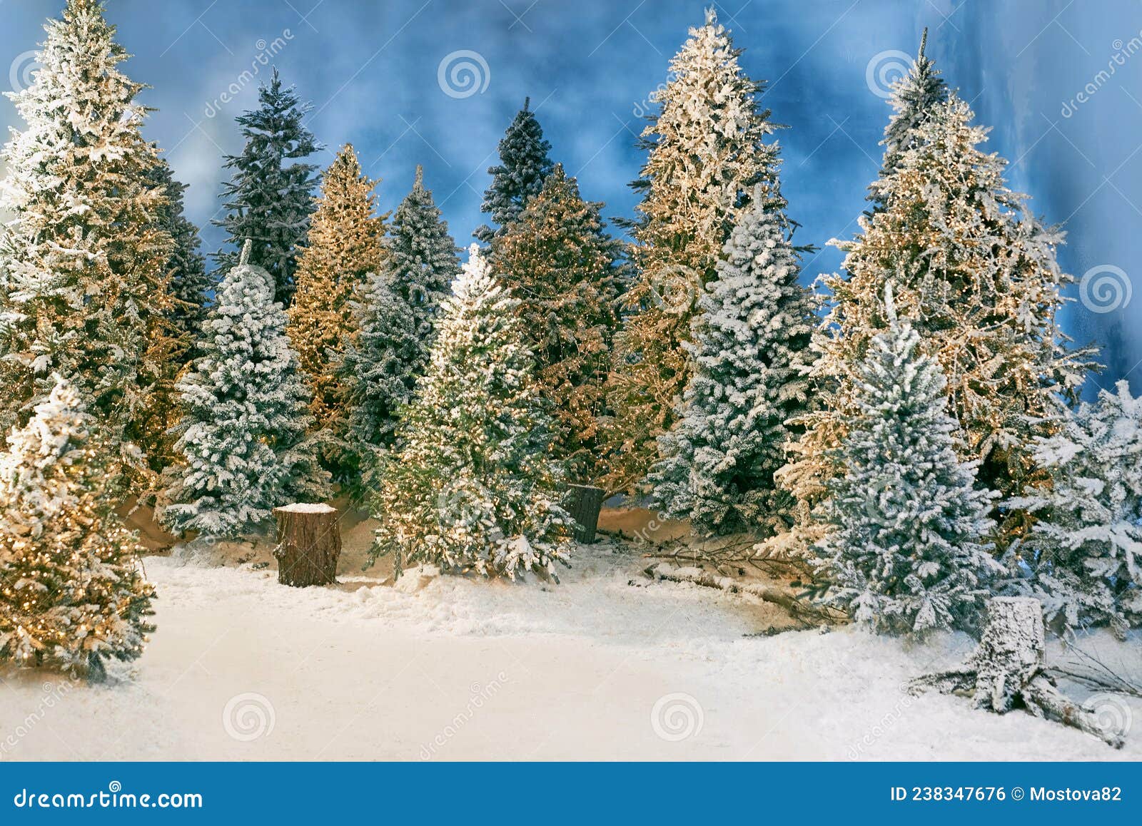 Magical snow forest stock photo. Image of snowy, nature - 238347676