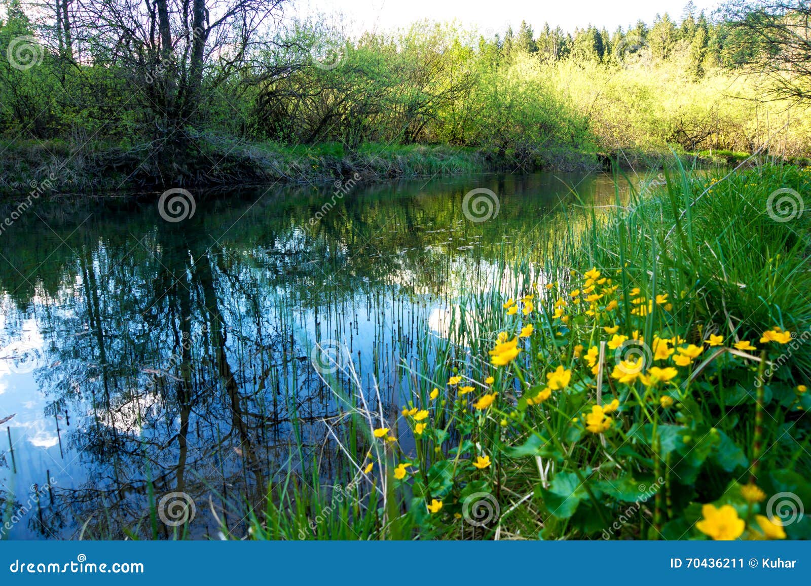 Magical spring sunny day stock image. Image of land, shore - 70436211