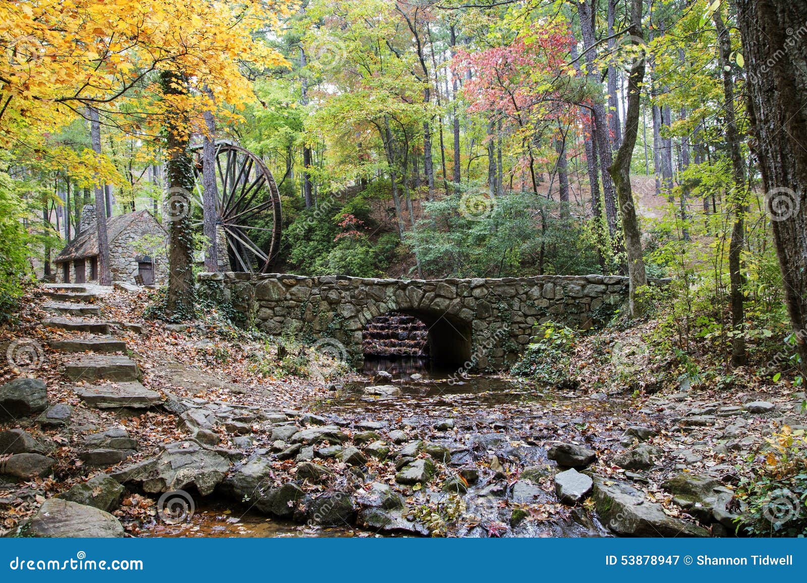 Magical Structure in the Fall Stock Image - Image of autumn, branch ...