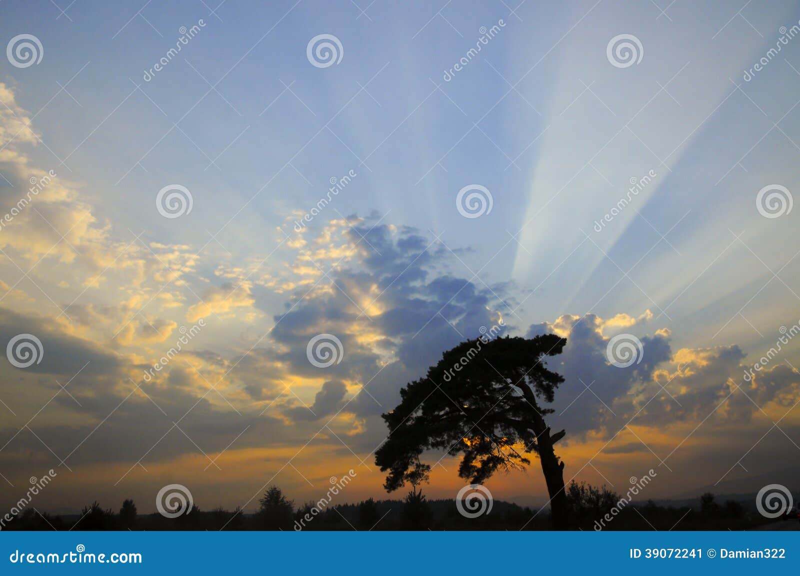 Magical sunset with tree stock image. Image of dream - 39072241