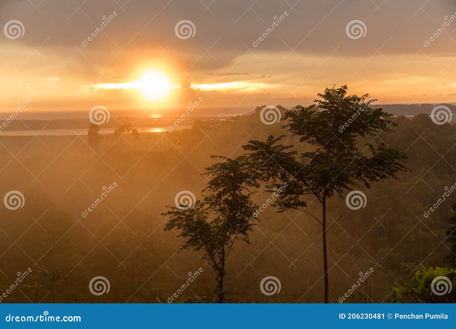 The Magical Sunset with Tree Stock Image - Image of summer, foliage ...