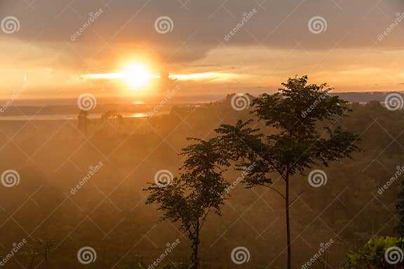 The Magical Sunset with Tree Stock Image - Image of summer, foliage ...