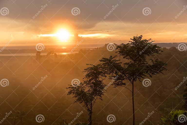 The Magical Sunset with Tree Stock Image - Image of summer, foliage ...