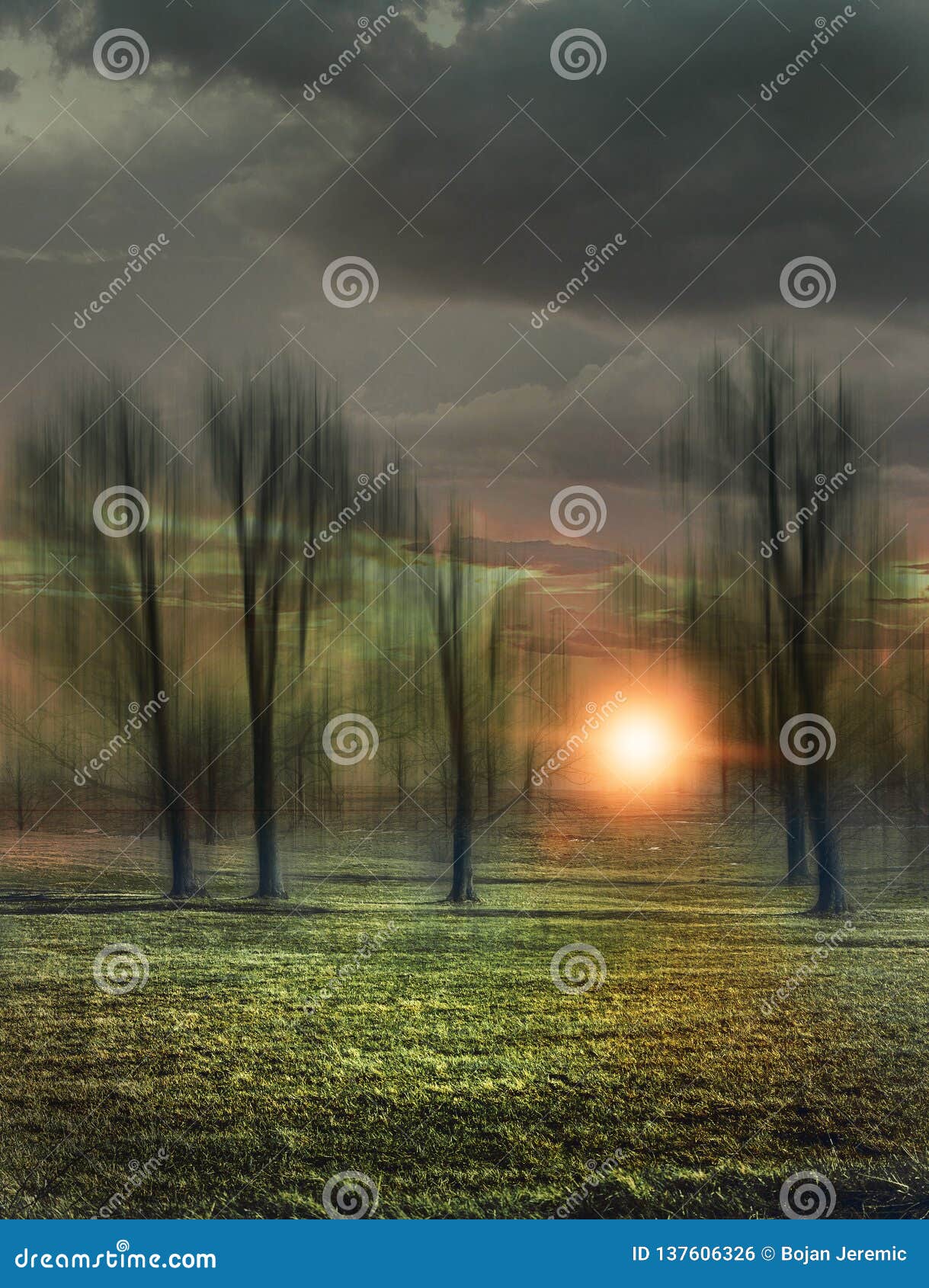 Magical Trees with Beautiful Sunset Stock Photo - Image of fairy ...