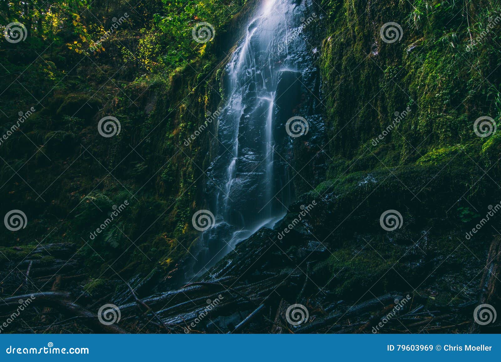 330 Snow Waterfall Oregon Stock Photos - Free & Royalty-Free Stock ...