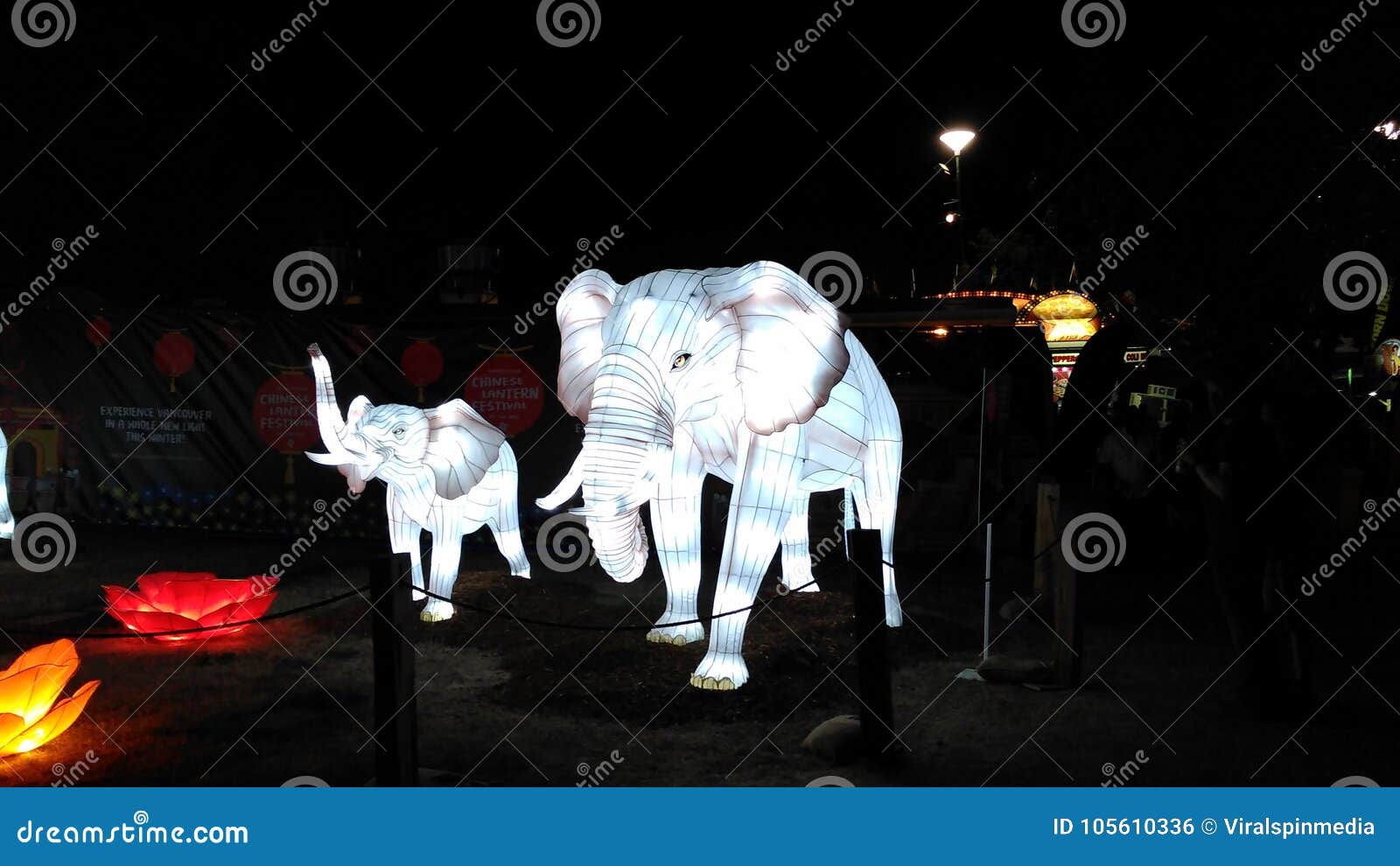 Lighted Magical White Elephants Editorial Photo | CartoonDealer.com ...
