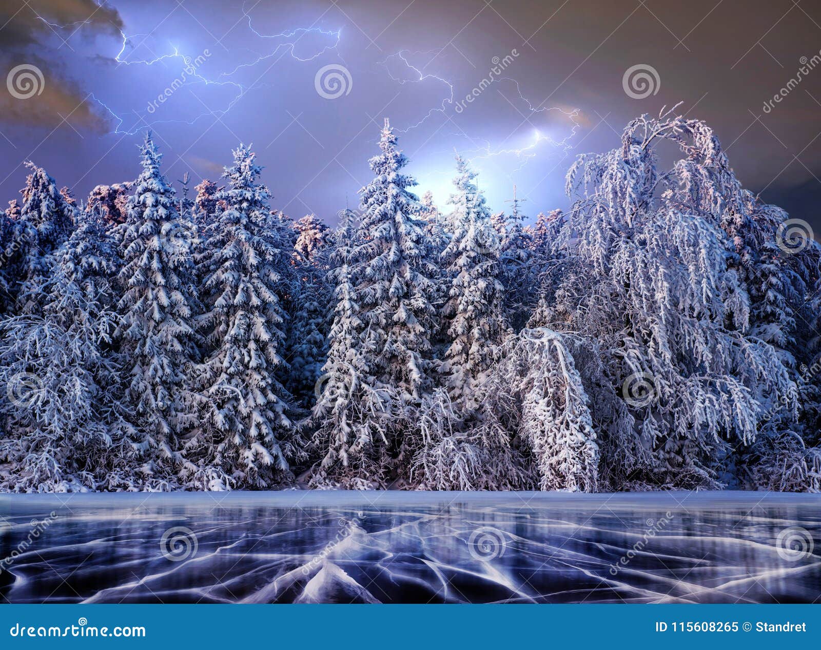 Magical Winter Snow Covered Tree. Dramatic Thunderstorm Sky Stock Image ...