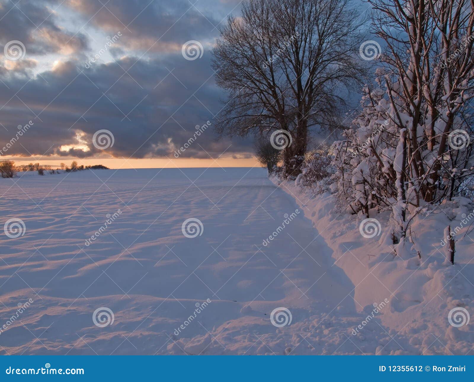 Magical Winter Sunset in a Snow Field Stock Photo - Image of dawn ...