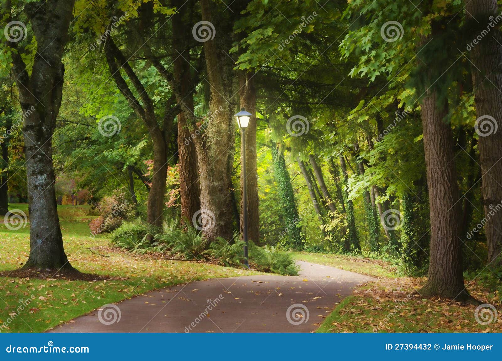 Magical woodland path stock photo. Image of glow, hope - 27394432