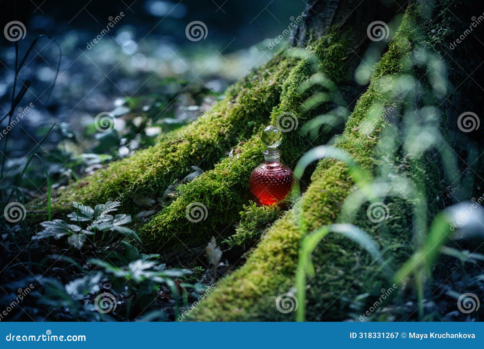 Magican Potion in Glass Bottle in Summer Forest Stock Image - Image of ...