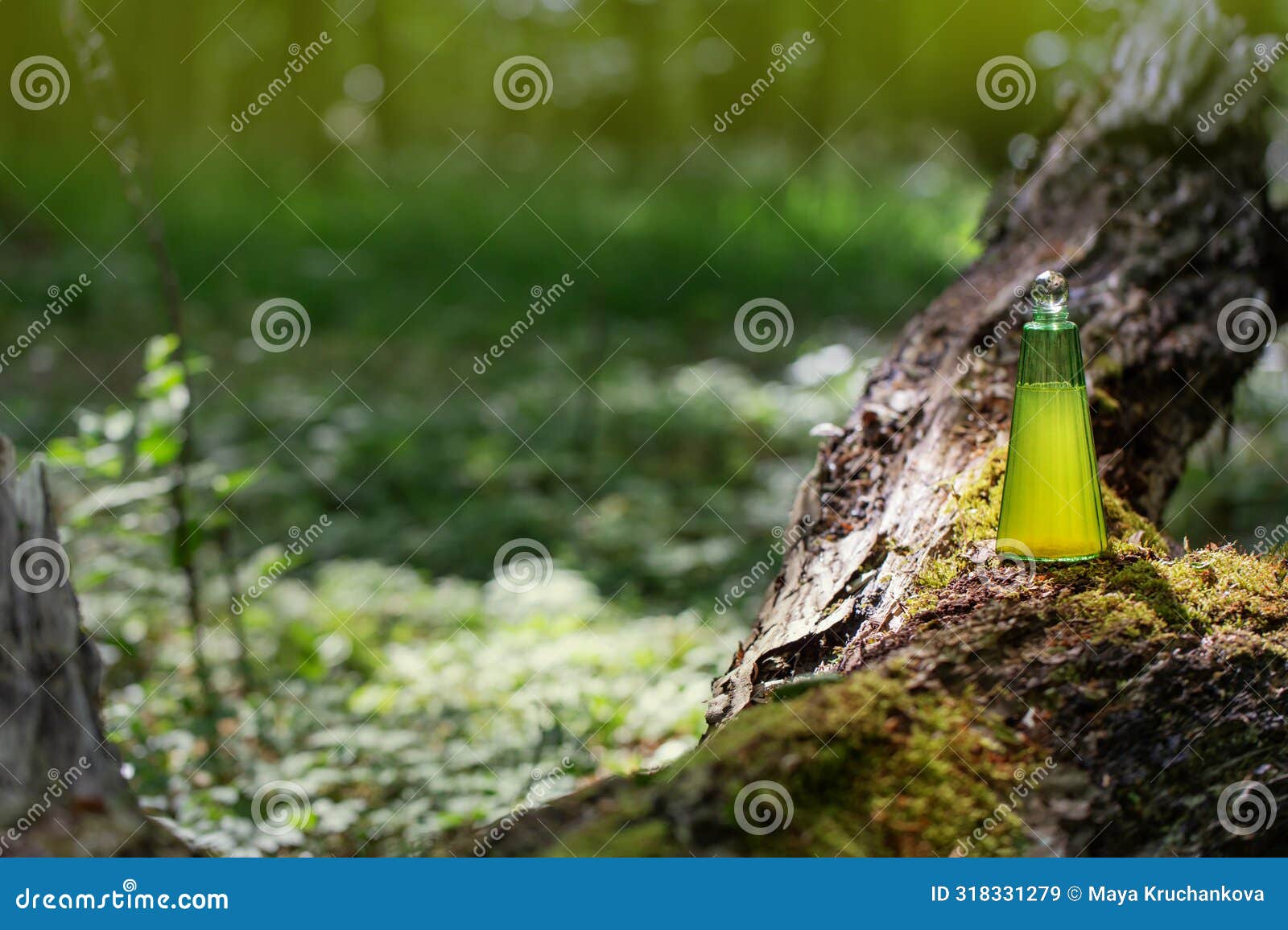 Magican Potion in Glass Bottle in Summer Forest Stock Image - Image of ...