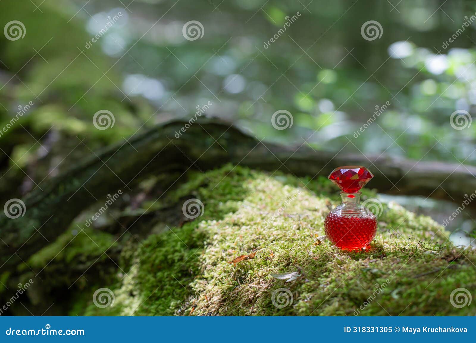Magican Potion in Glass Bottle in Summer Forest Stock Image - Image of ...