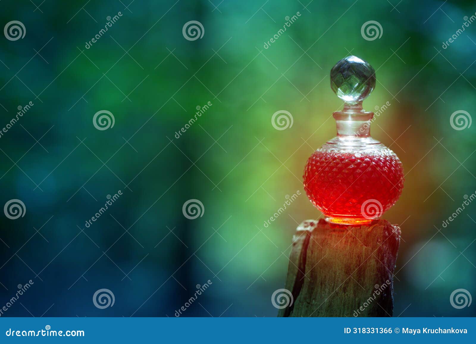 Magican Potion in Glass Bottle in Summer Forest Stock Photo - Image of ...