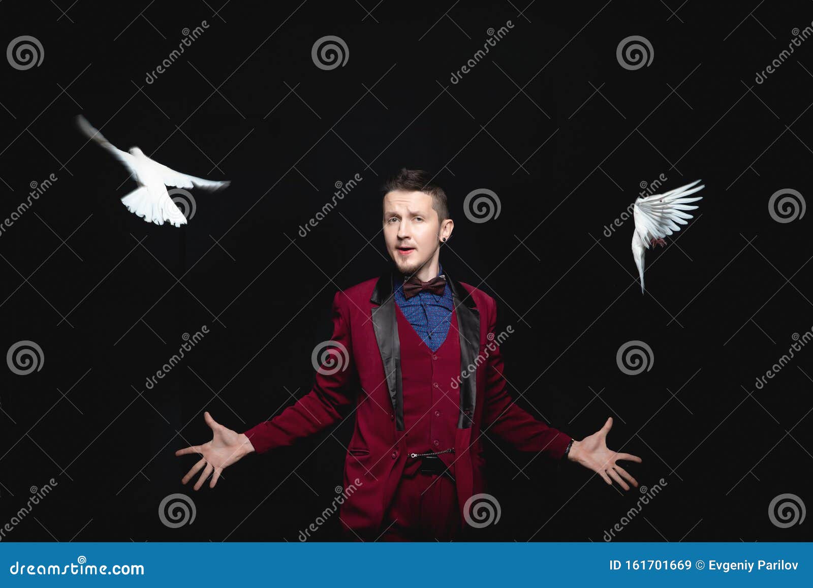 Magician Man Shows Trick with Trained Two White Dove Bird Stock Image ...