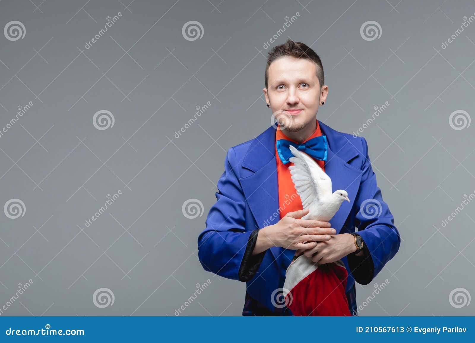 Magician Man Shows Trick with Trained White Dove Bird Stock Image ...